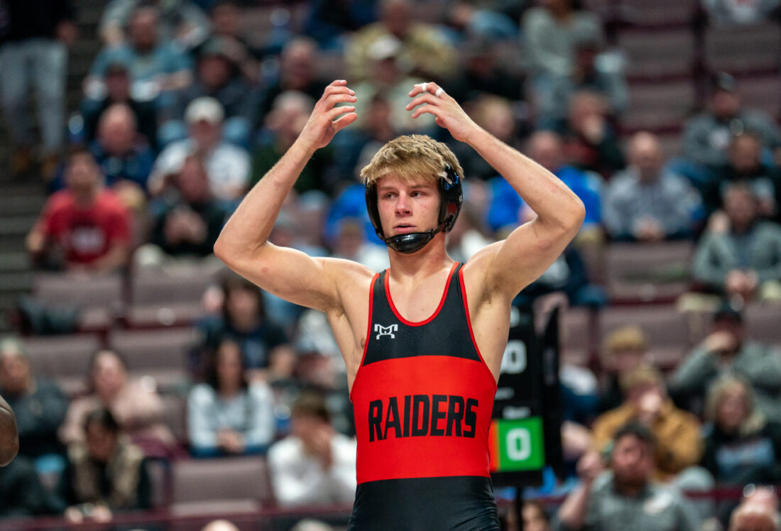 BREAKING: Harer, Johnson earn second PIAA Class AA titles | News ...